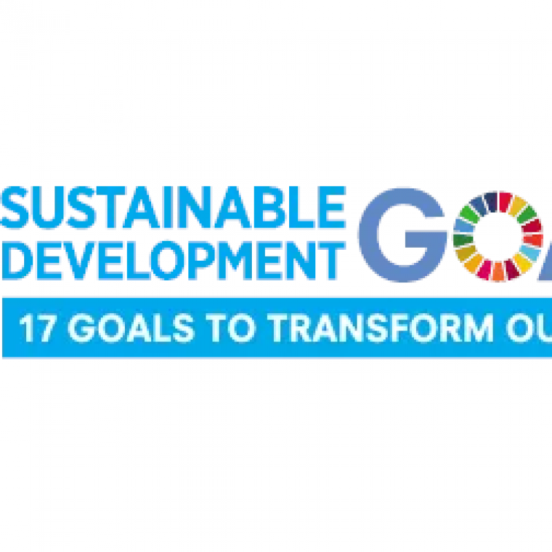 The targets behind the United Nations Sustainable Development Goals ...